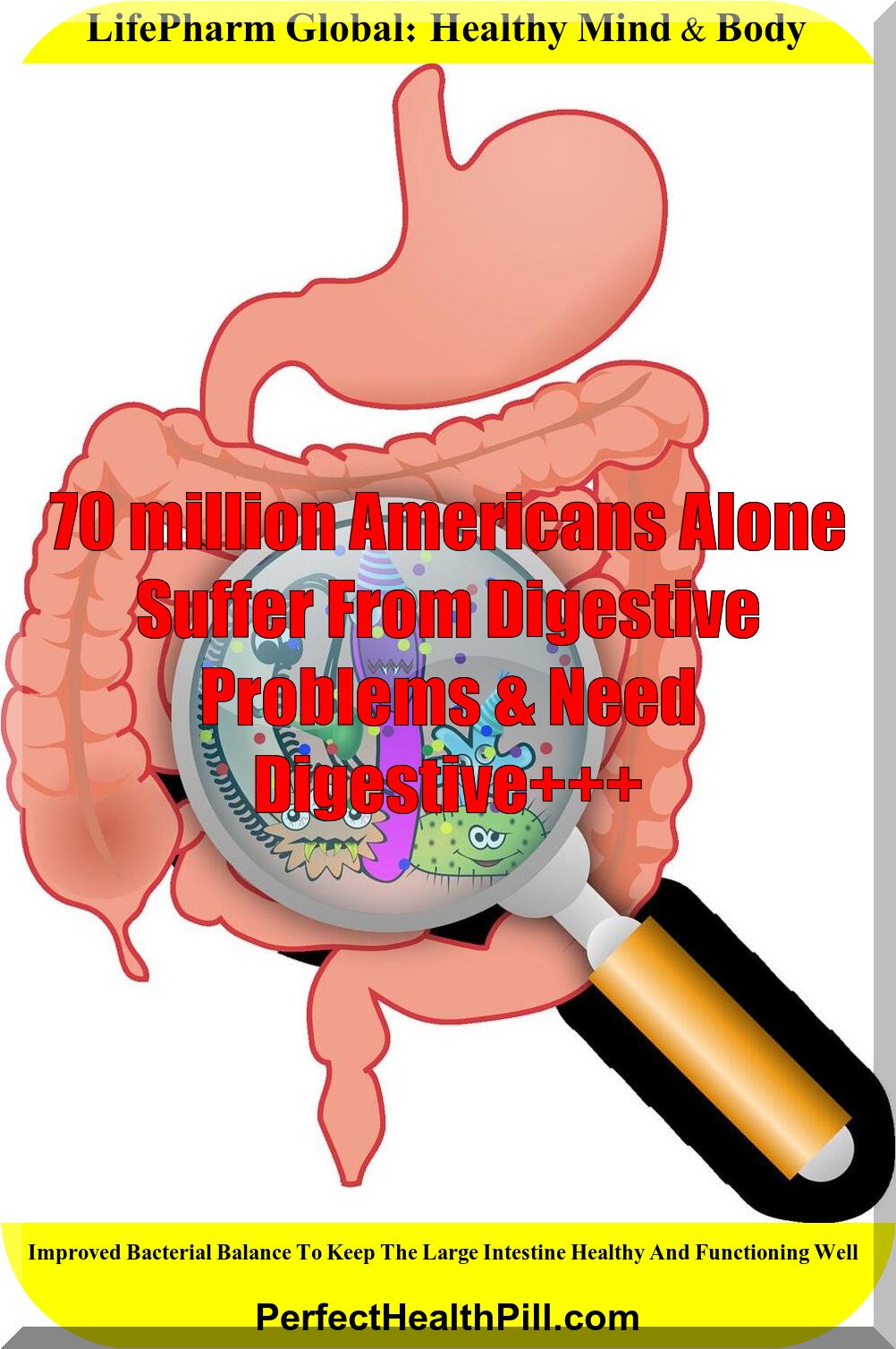 70 million Americans Alone Suffer From Digestive Problems & Need ...