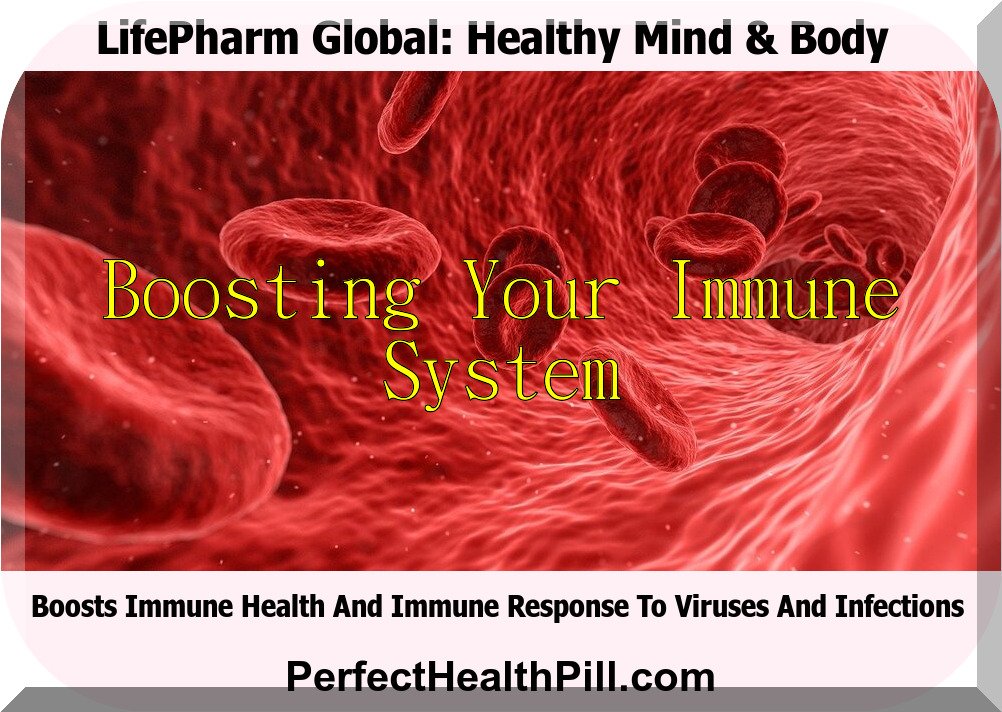 Boosting Your Immune System – Perfect Health Pill